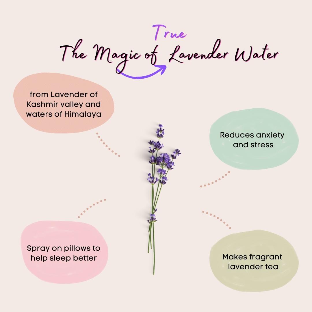 Lavender water - Mr. Nature's