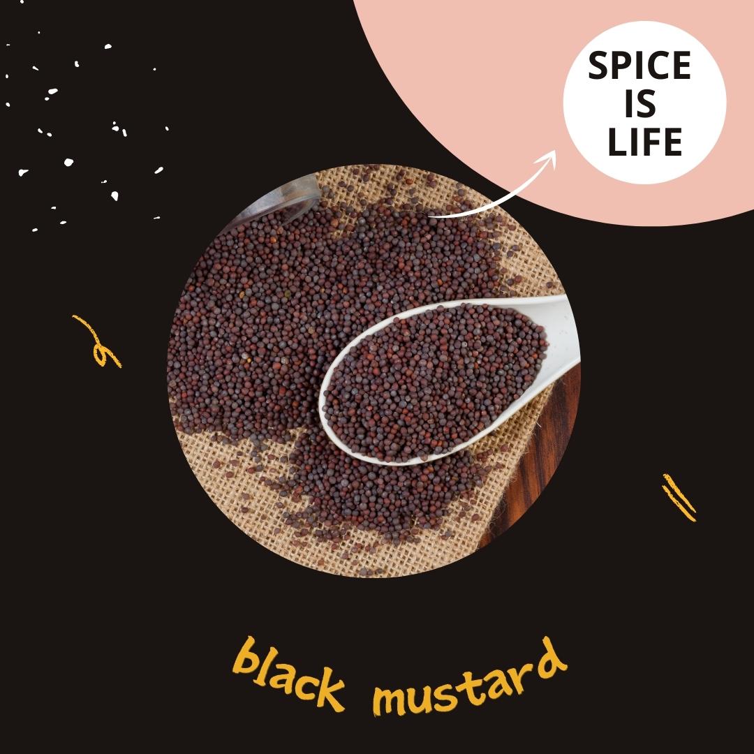 Mustard black (rai) - Mr. Nature's